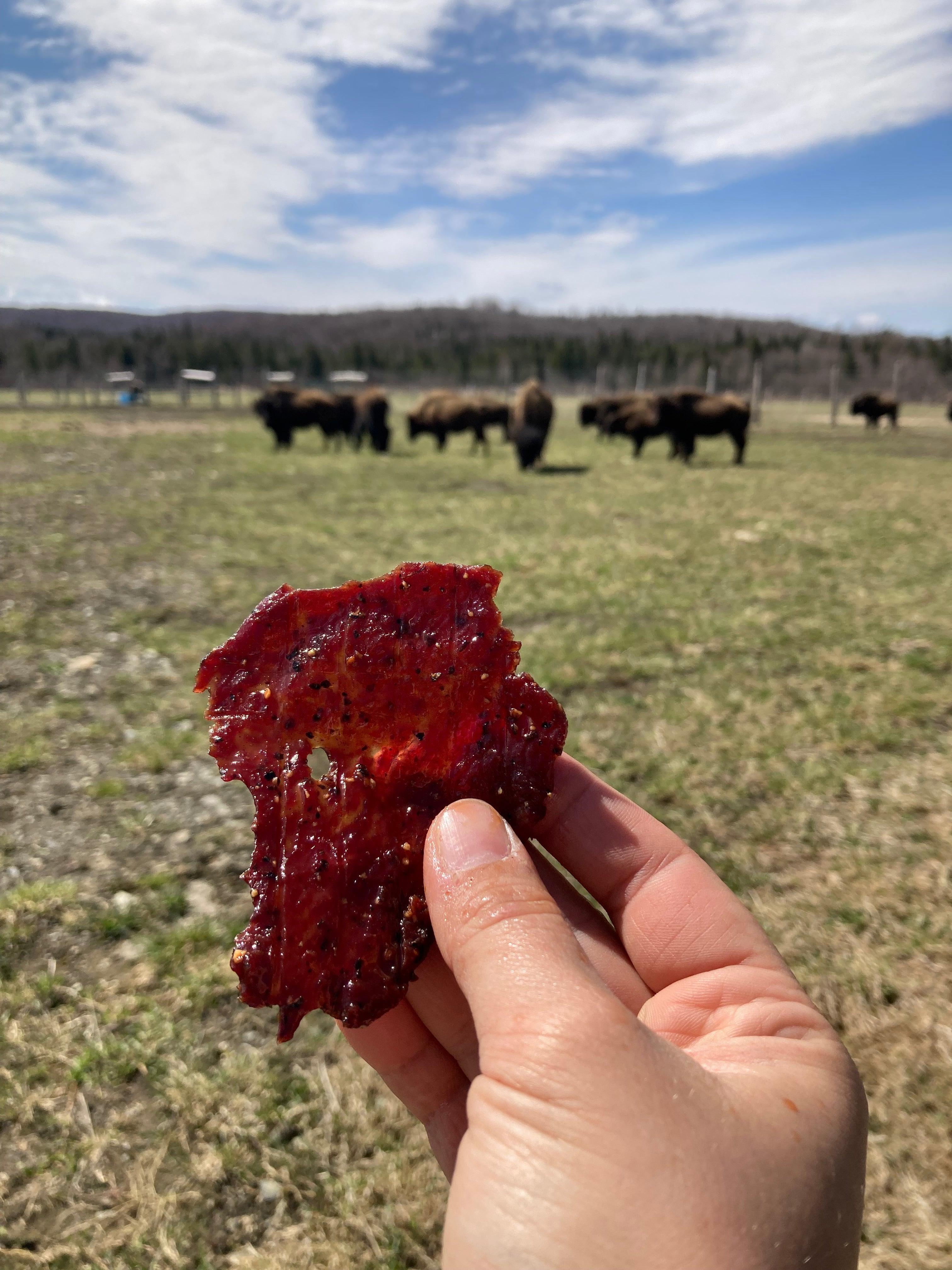 Collation nutritive I Viande séchée de bison – Rustik Bison