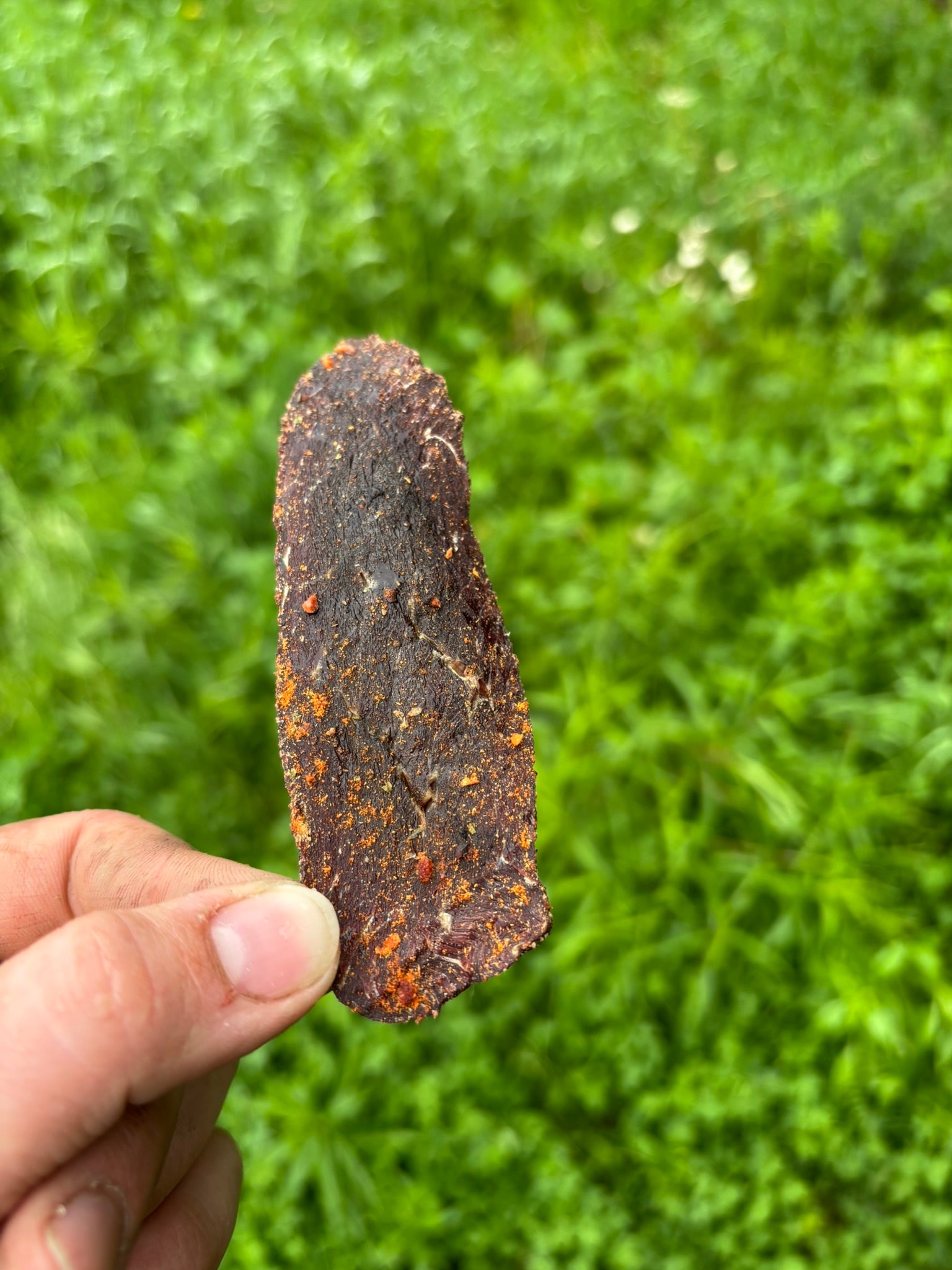 Collation nutritive I Viande séchée de bison – Rustik Bison